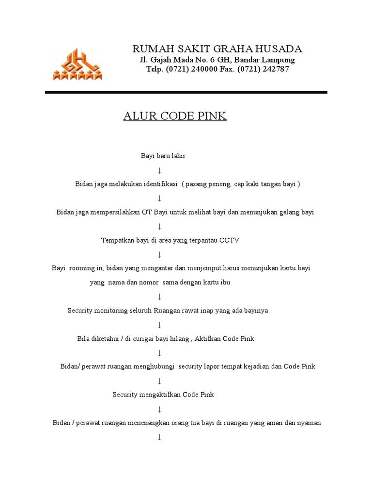 Alur Code Pink | PDF