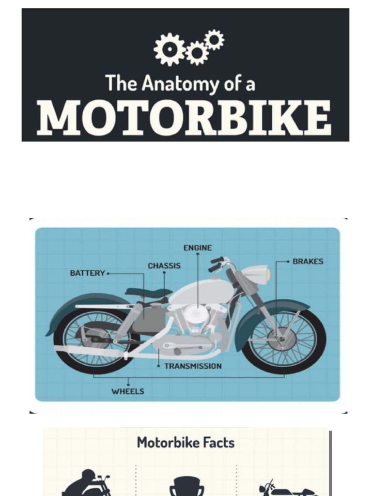 Anatomy of The Motorbike | PDF