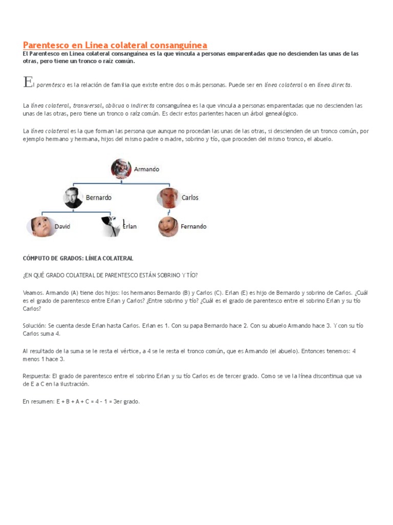 Parentesco en Linea Colateral Consanguínea | Parentesco | Museología