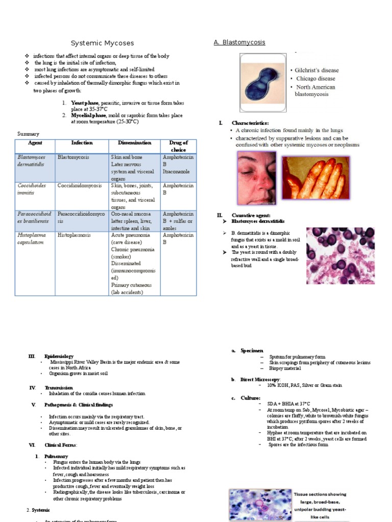 Systemic Mycoses: A. Blastomycosis | PDF | Microbiology | Diseases And Disorders