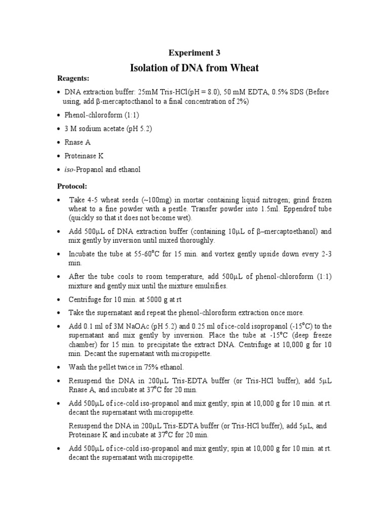 Wheat DNA Extraction Protocol | PDF | Ultraviolet | Chemical Substances