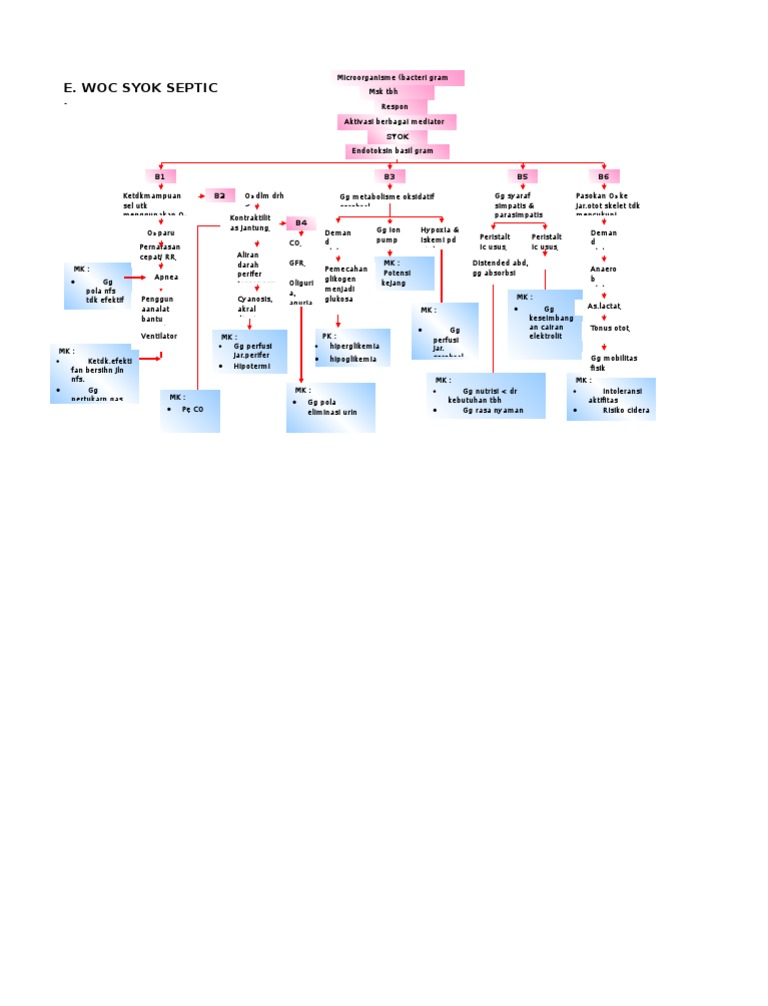 Woc Syok Septik | PDF