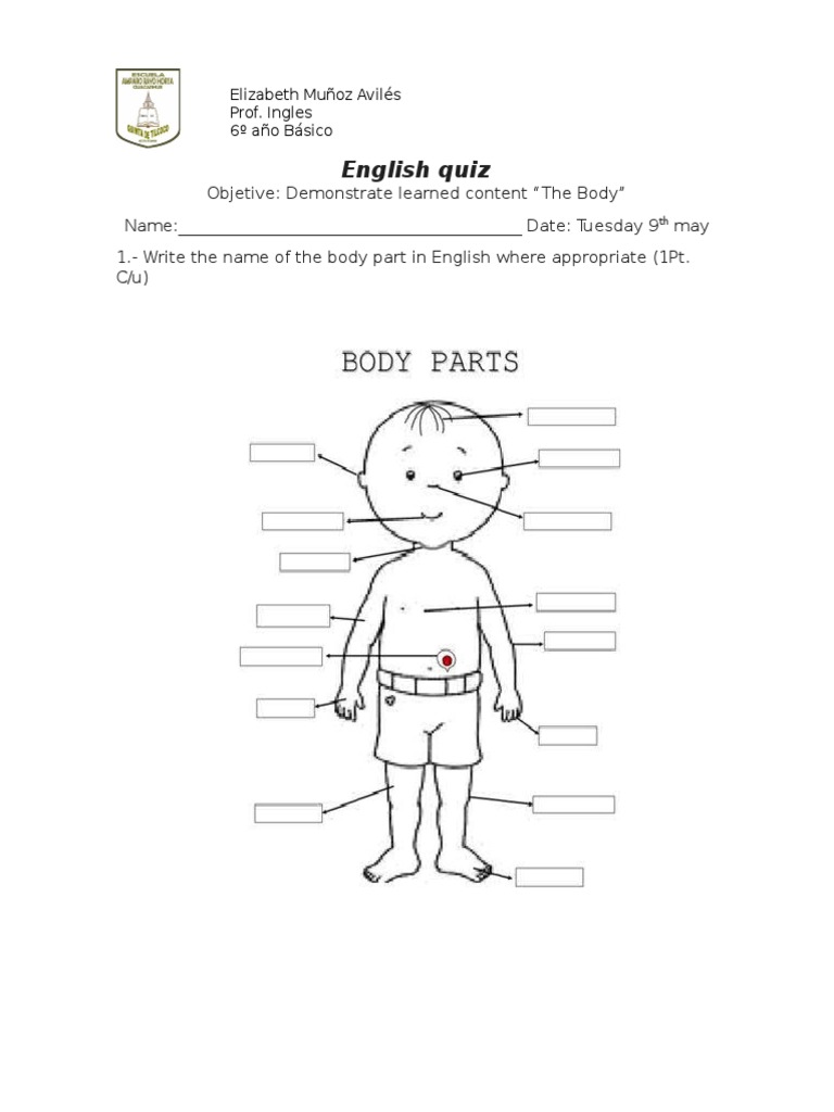 Quiz THe Body | PDF