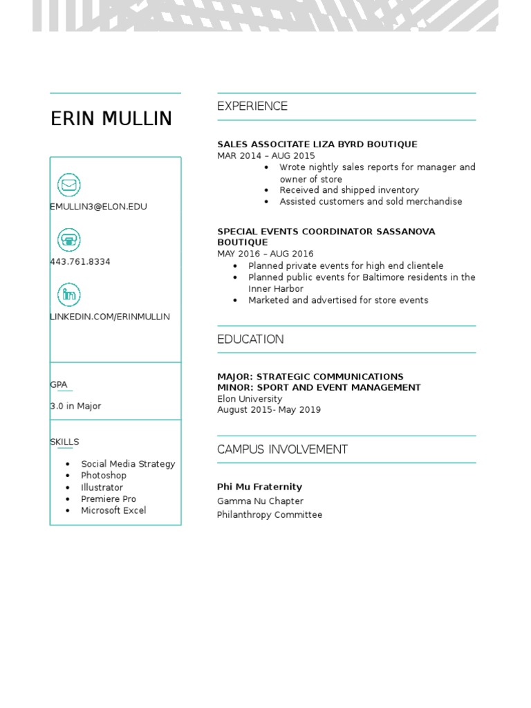Erin Mullin: Experience | PDF