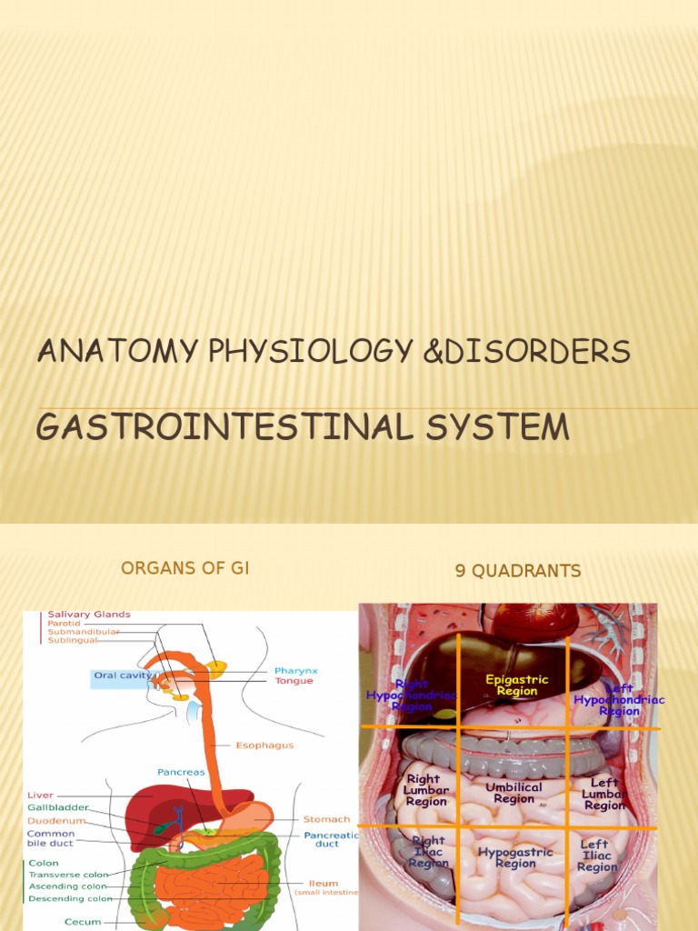Nursing Management of Gastrointestinal Disorders | PDF | Peptic Ulcer ...