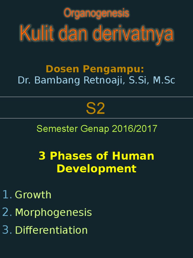 Integumen (Kulit Derivat) Organogenesis S2 2017 | PDF | Skin | Epidermis