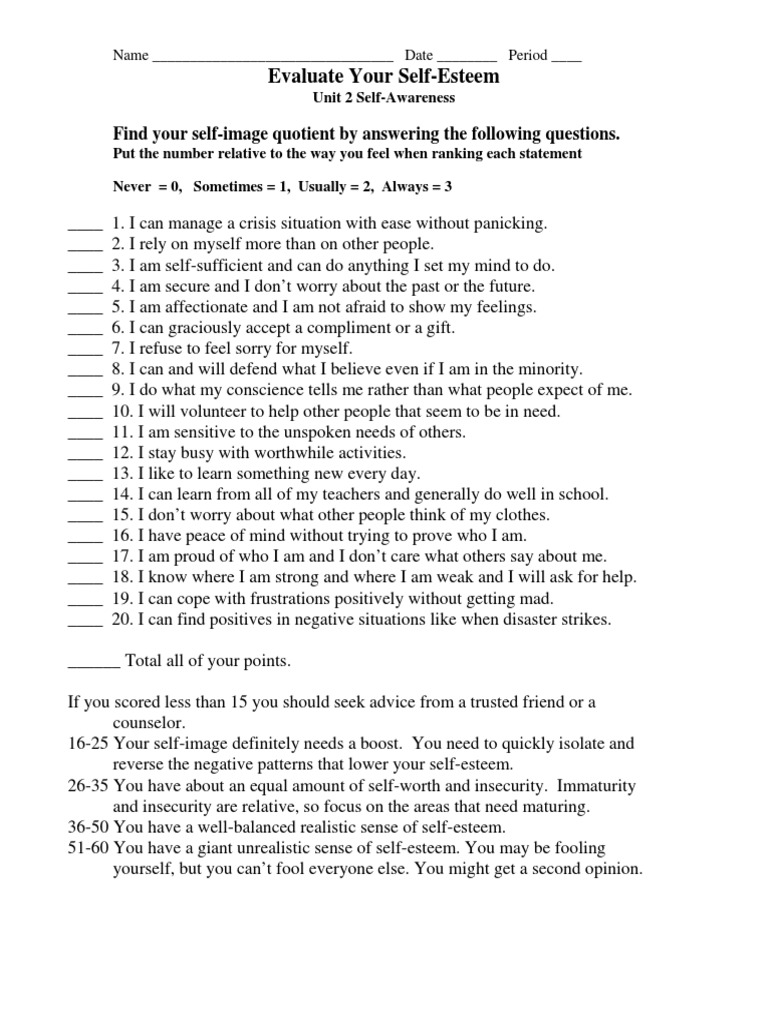 Self Esteem Evaluation | PDF