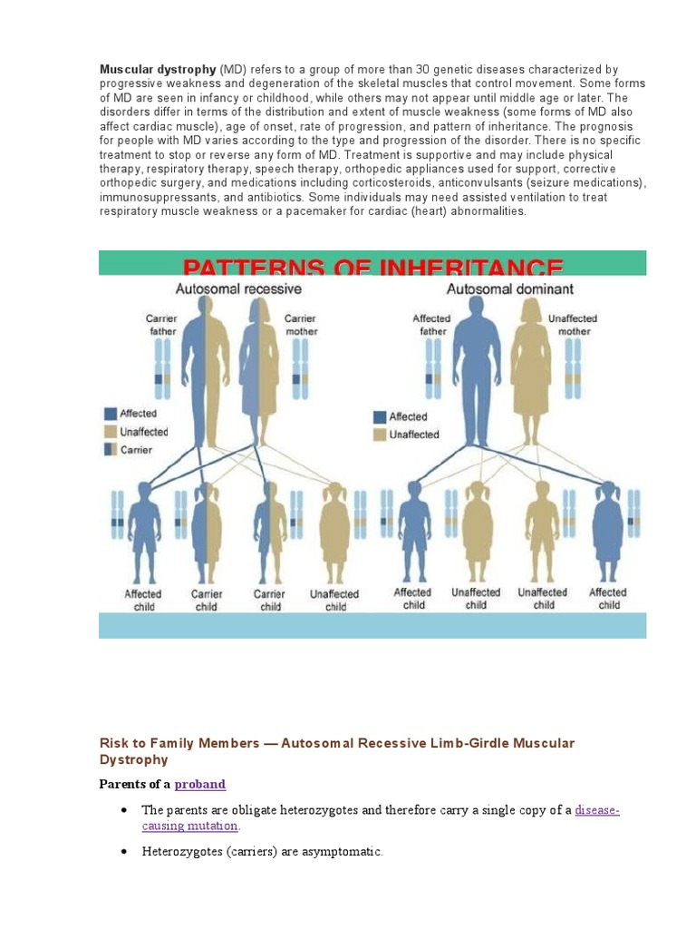 Muscular Dystrophy | Muscular Dystrophy | Genetics