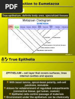 Vocal Anatomy Key Terms and Concepts: Posture | PDF | Singing | Breathing