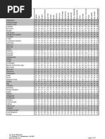 Rolemaster Express Double-Sided Character Sheet (English) | PDF | Role ...