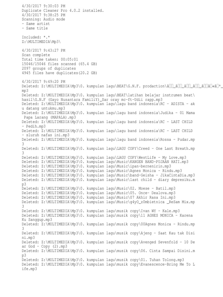 Duplicate Cleaner Log | PDF