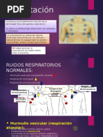 Reflejos Osteotendinosos (Rot) | PDF