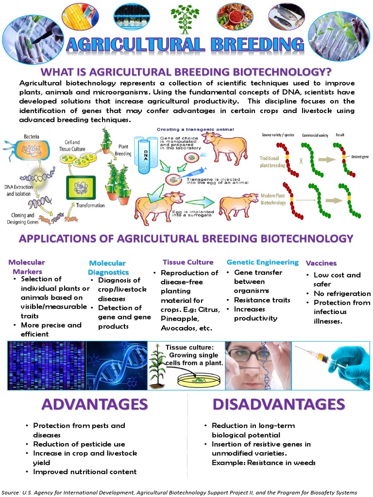 Agricultural Breeding Biotechnology | PDF