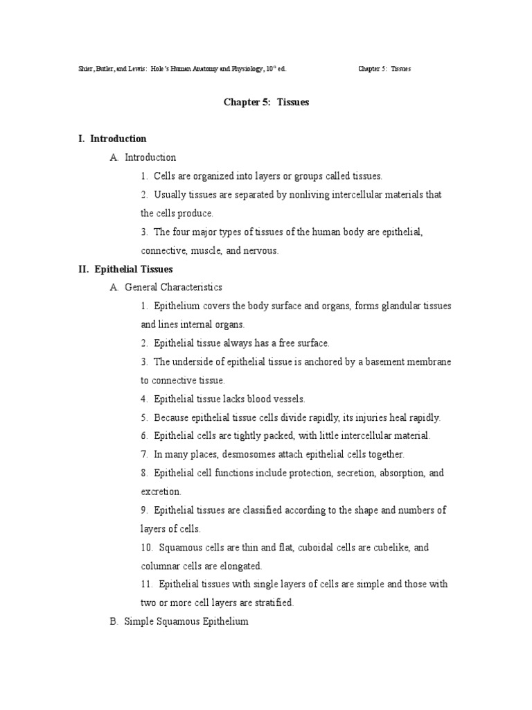 Ch05 Answer Key-Tissues | PDF | Epithelium | Connective Tissue