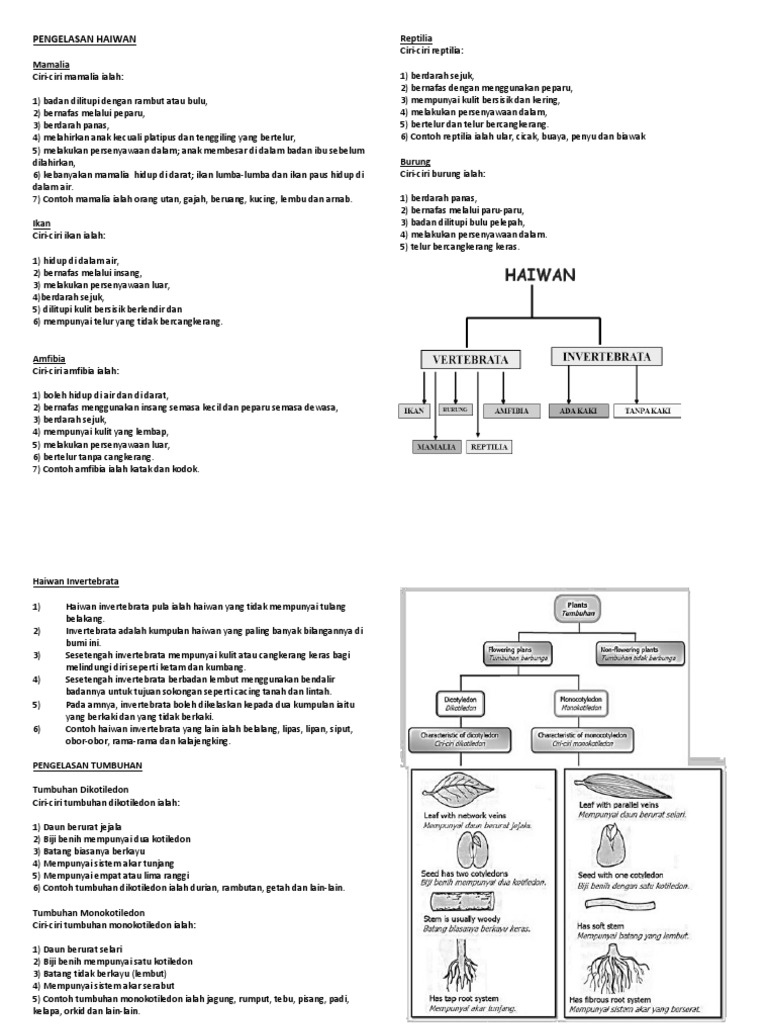 Nota Biodiversiti PDF | PDF