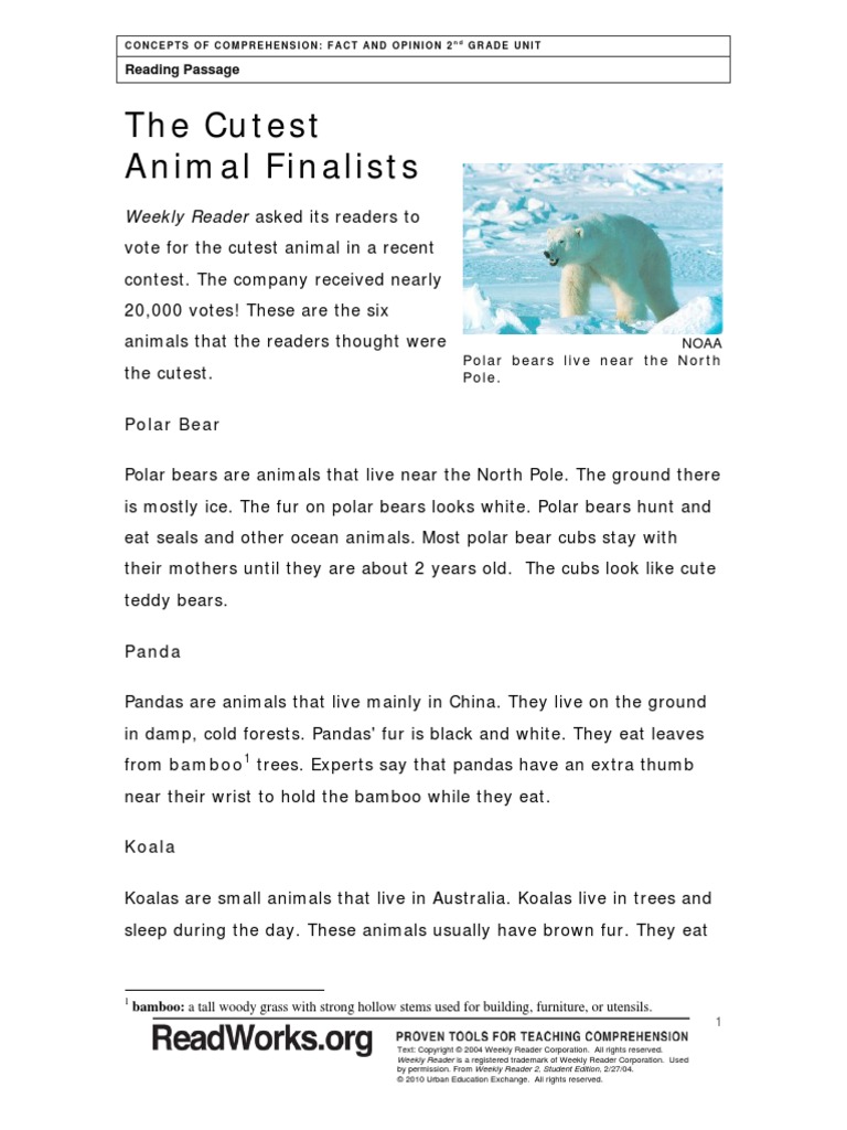 The Cutest Animal Finalists 660 Passage and Questions 1 | PDF | Bears ...