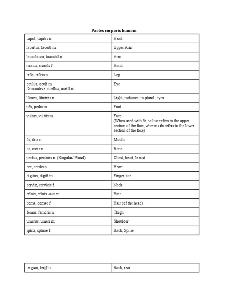 Partes Corporis Humani | PDF | Human Anatomy | Primate Anatomy
