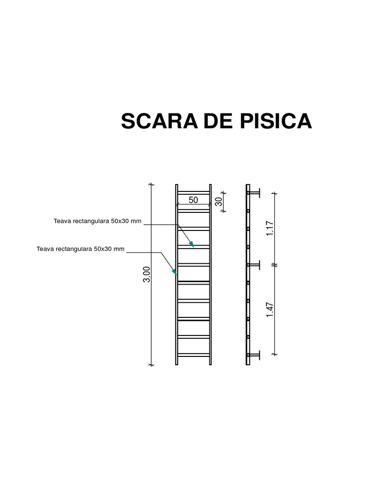 Scara de Pisica PDF | PDF