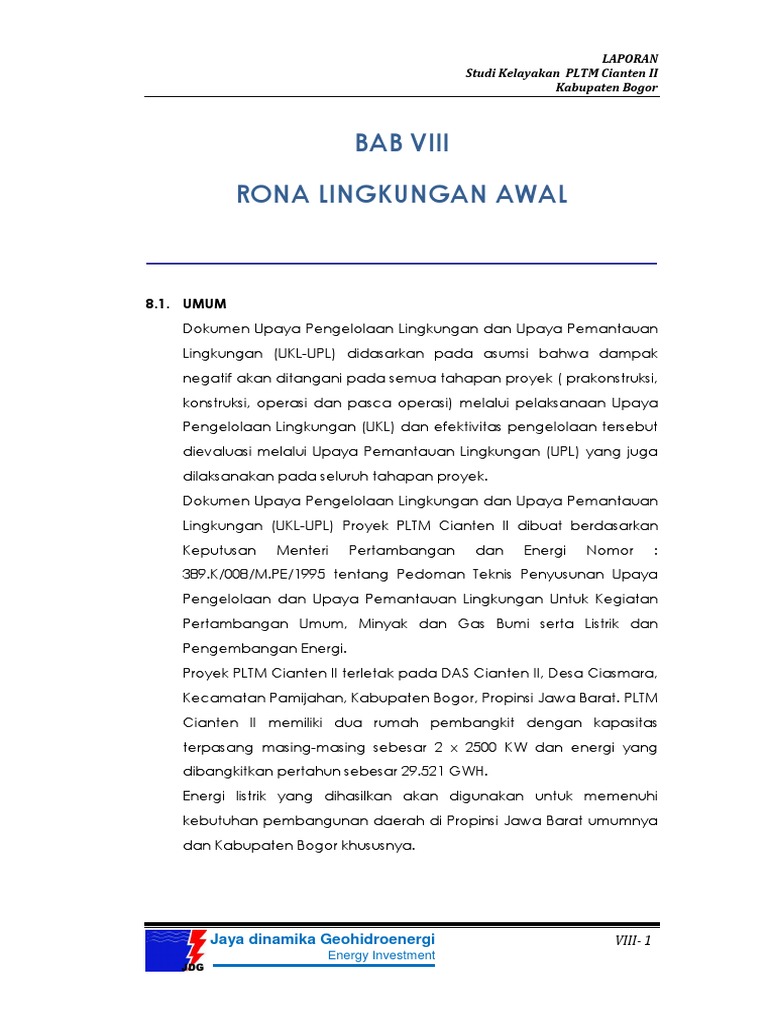 08 - Bab VIII Rona Lingkungan Awal | PDF
