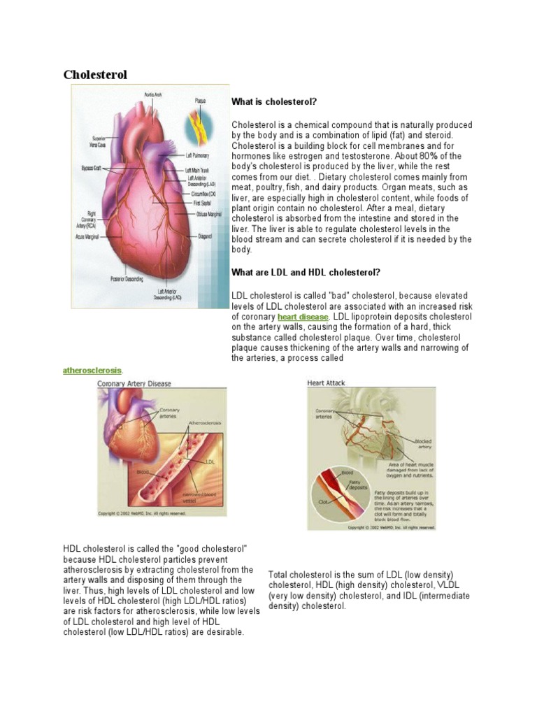 Understanding Cholesterol Levels And How To Lower Ldl Cholesterol Pdf