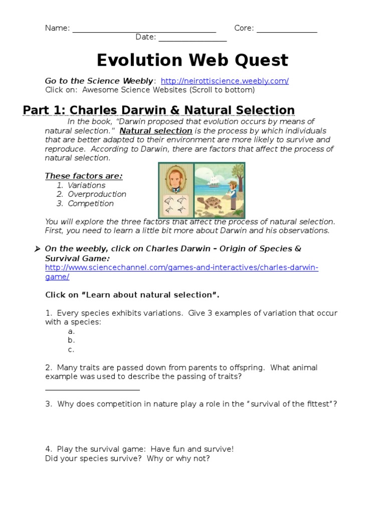 Evolution Webquest: Natural Selection Insights | PDF | Natural ...