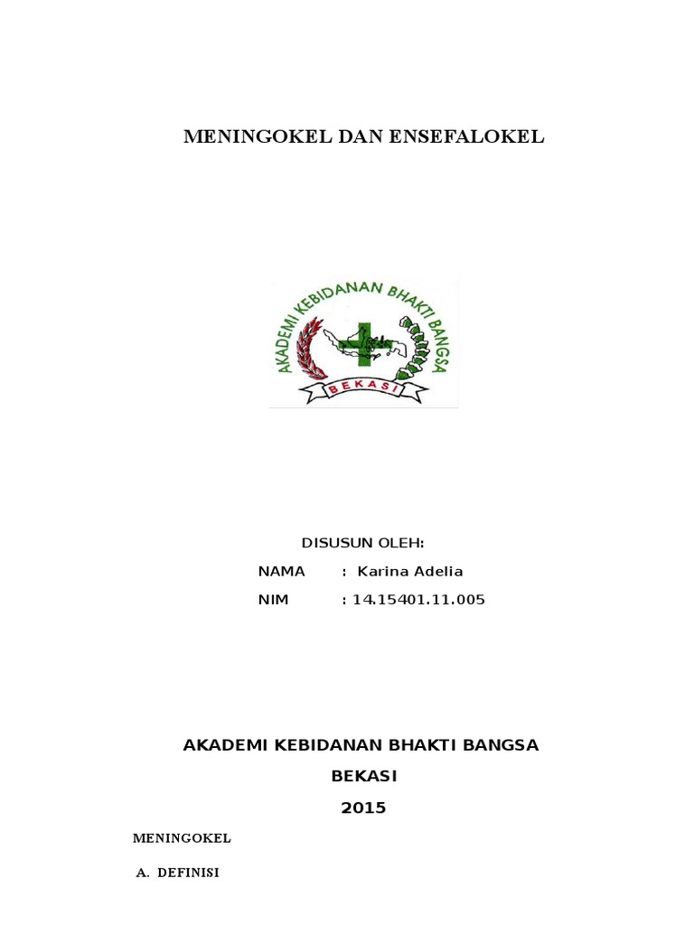 Meningokel dan Ensefalokel: Definisi & Gejala | PDF