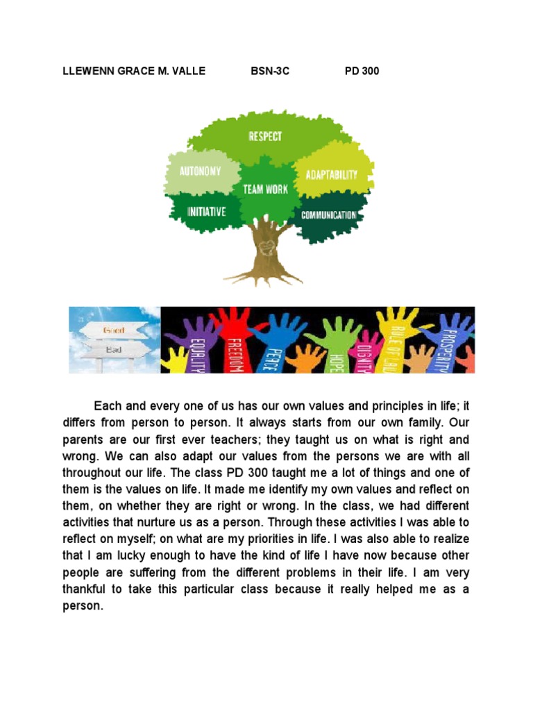 Personal Values Reflection in PD 300 | PDF