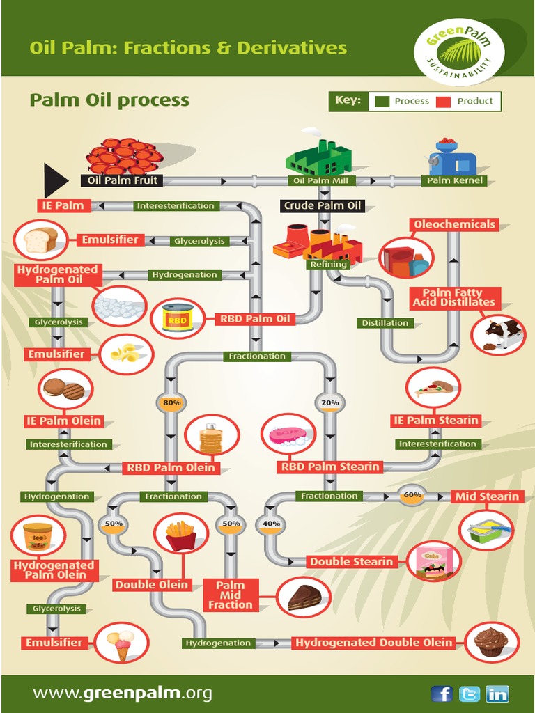 oil palm fractions derivatives web.pdf | Oil | Cooking Oil