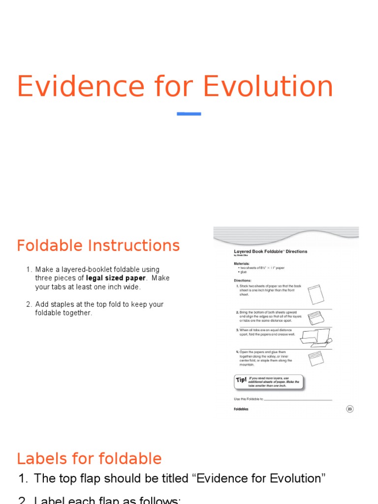 Evidence For Evolution PPT 2017 For Foldable Use This One | PDF ...