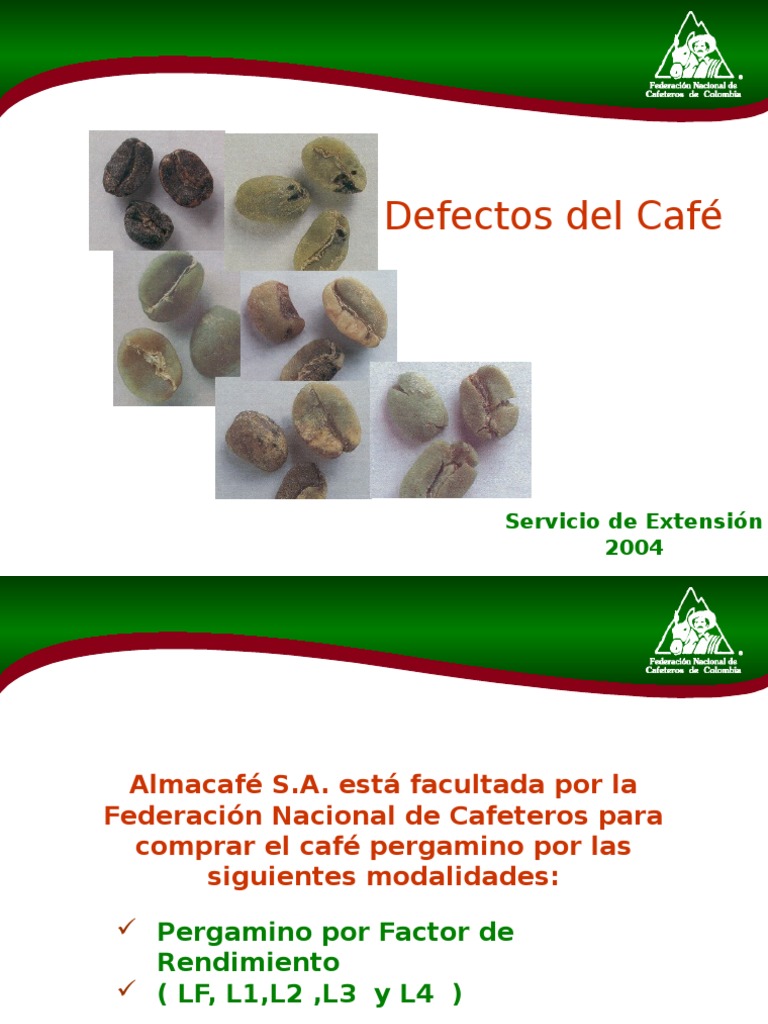 Defectos del Café | café | Alimentos