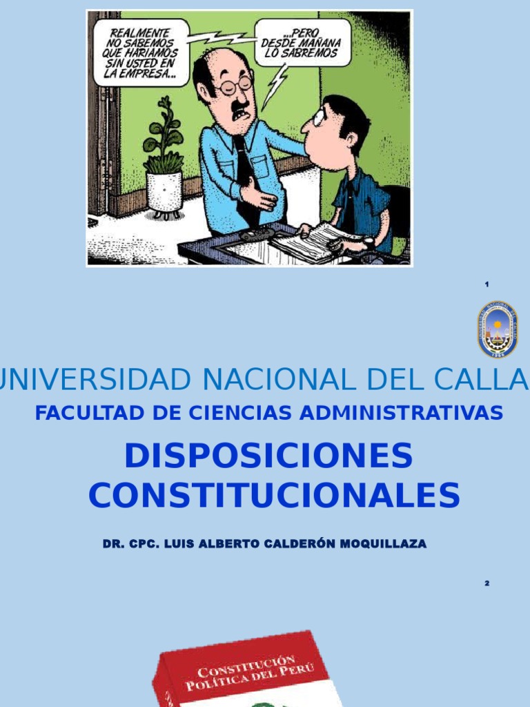 Disposiciones Constitucionales | PDF | Constitución | Juez