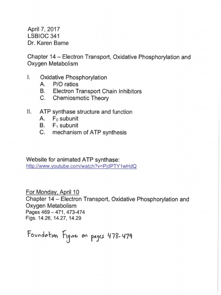 Notes On Oxidative Phosphorylation | PDF