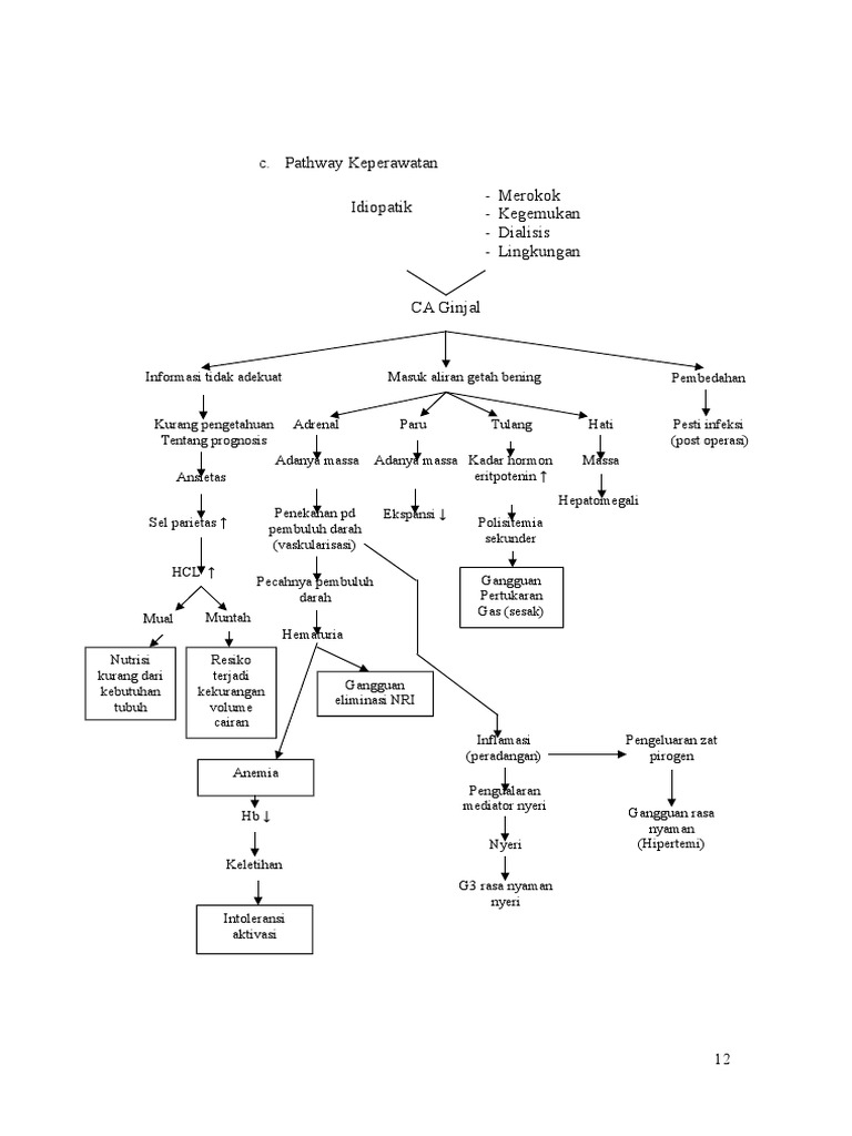 PATHWAY Kanker Ginjal | PDF