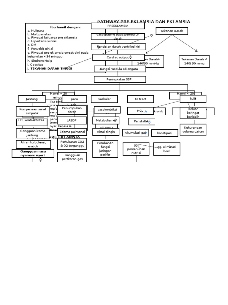 Pathway Pre Dan Eklamsia | PDF