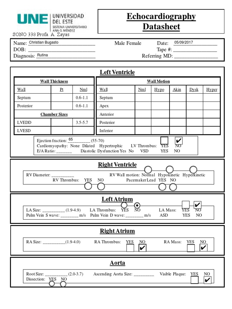 Sono 338 - Echocardiography-Worksheet 2017 | PDF | Heart Valve ...