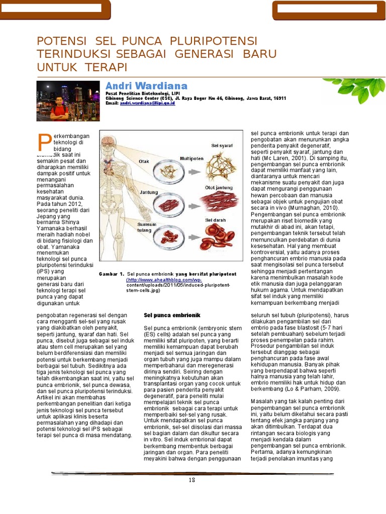 Terapi Sel Punca | PDF