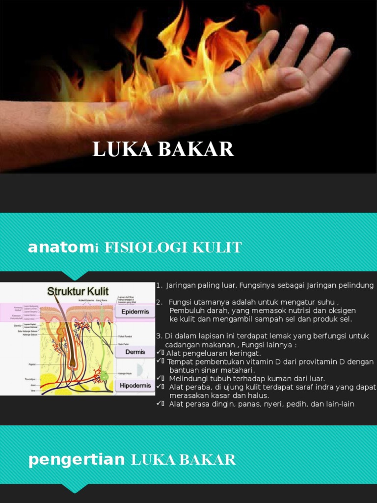 Luka Bakar | PDF
