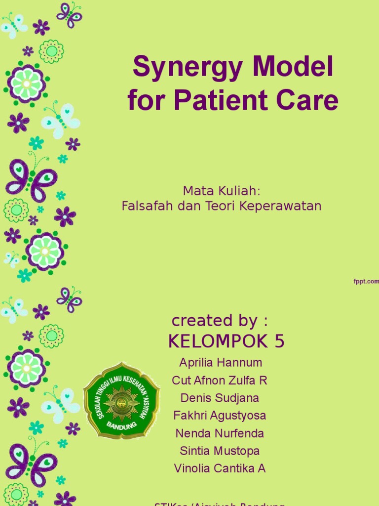 Synergy Model For Patient Care | PDF