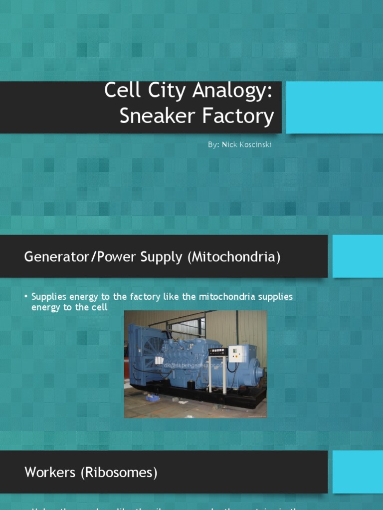 Cell City Analogy Powerpoint | PDF