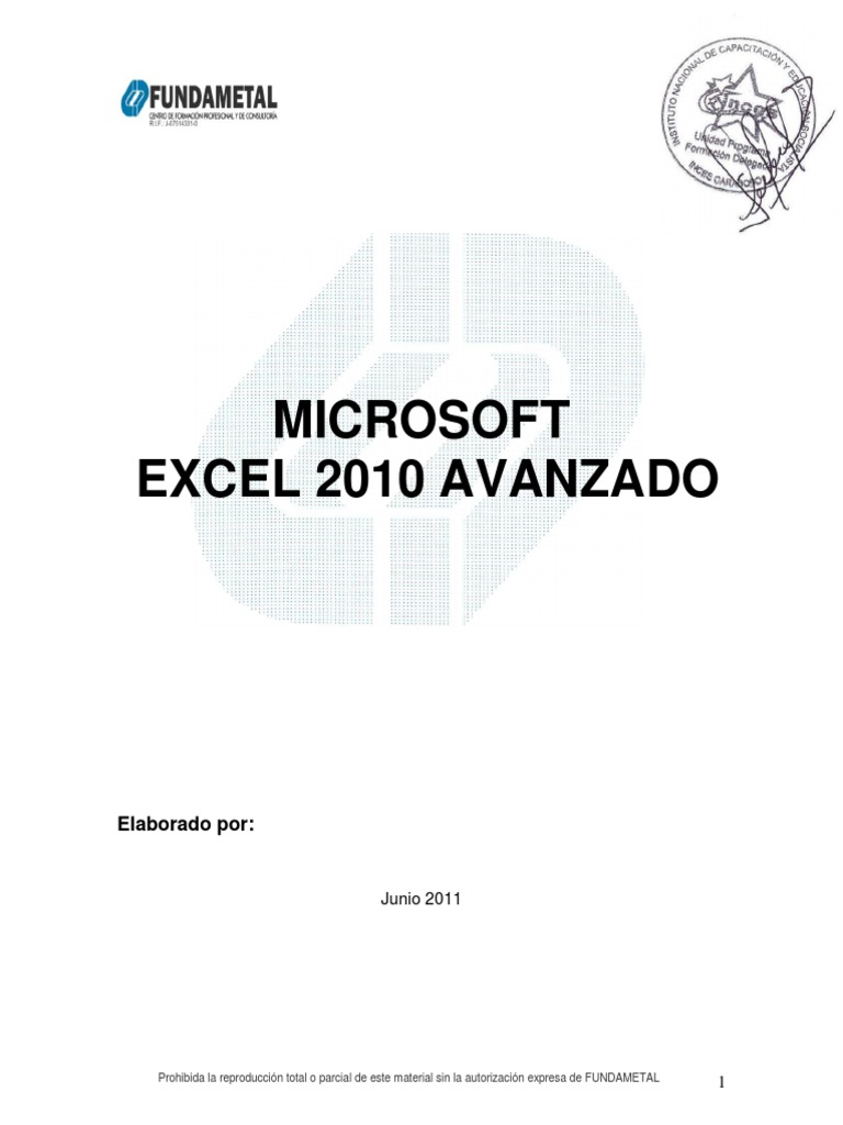 Manual Microsoft Excel 2010 Avanzado | PDF | Microsoft Excel | Hoja de cálculo