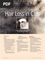 Cat FAS and Frustration Management Guide | PDF