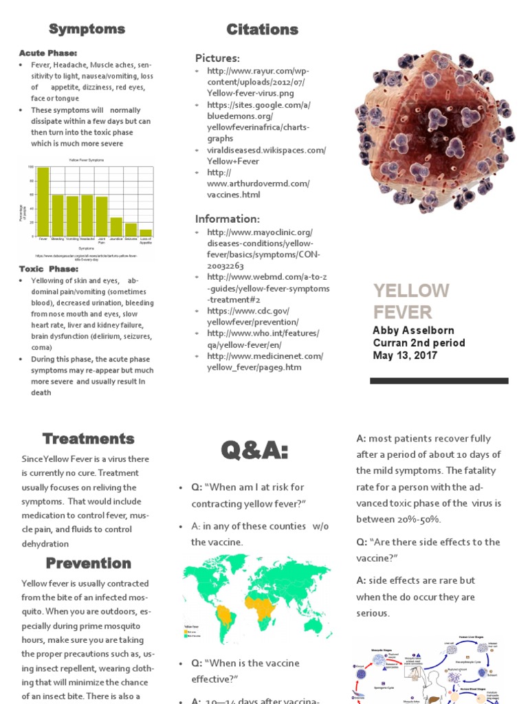Yellow Fever Brochure Pub | PDF | Yellow Fever | Rtt