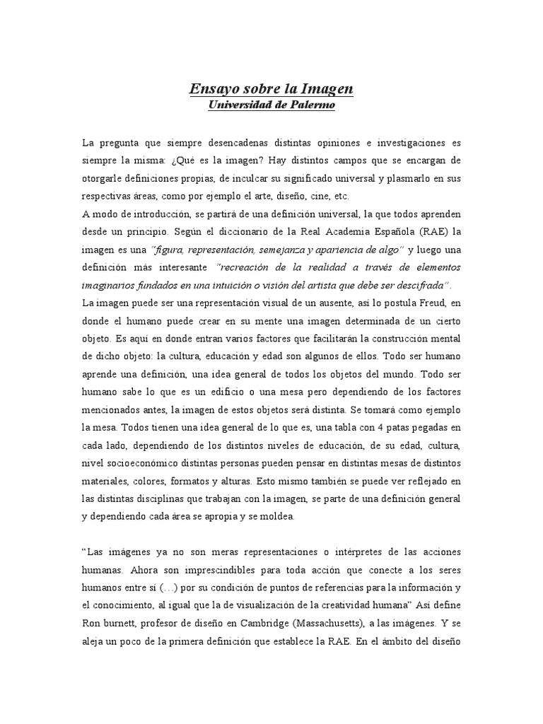 Ensayo Sobre La Imagen | PDF | Imagen | Diseño