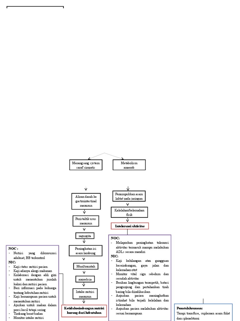 Woc Anemia Hemolitik | PDF