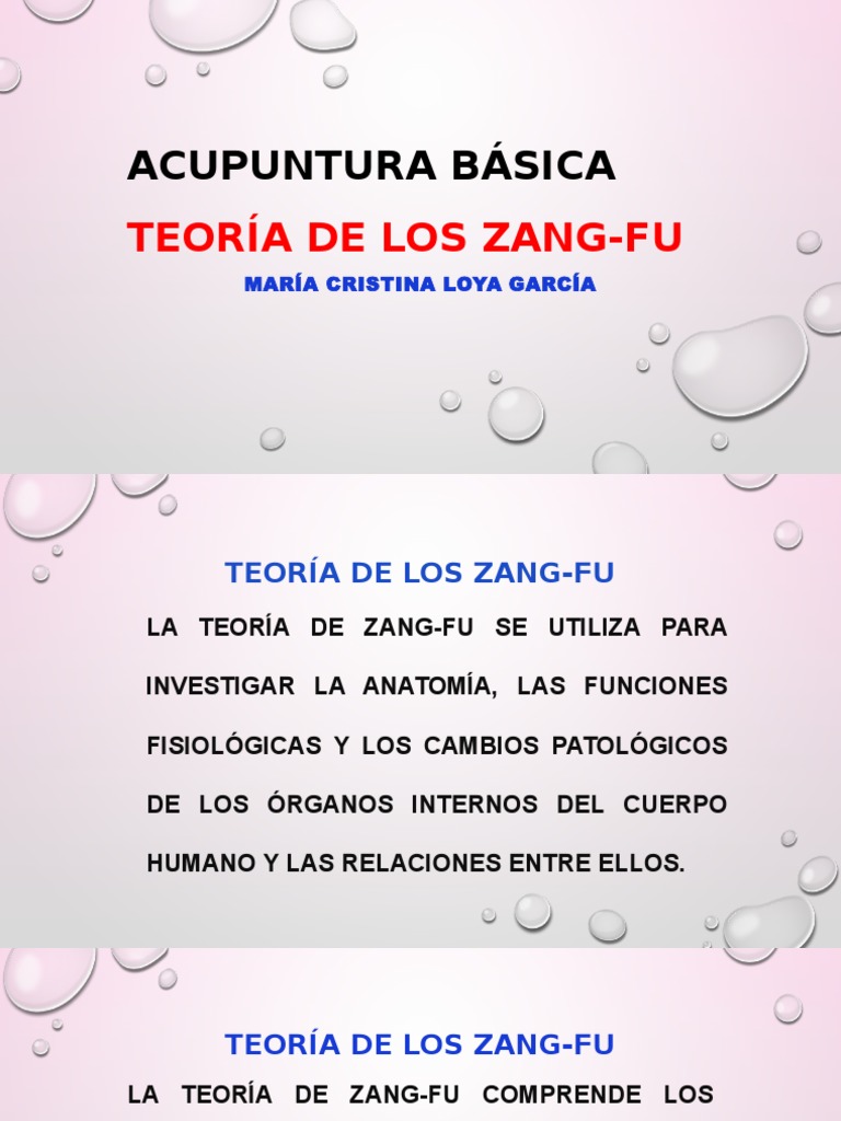 Teoría de Los Zang-Fu | PDF