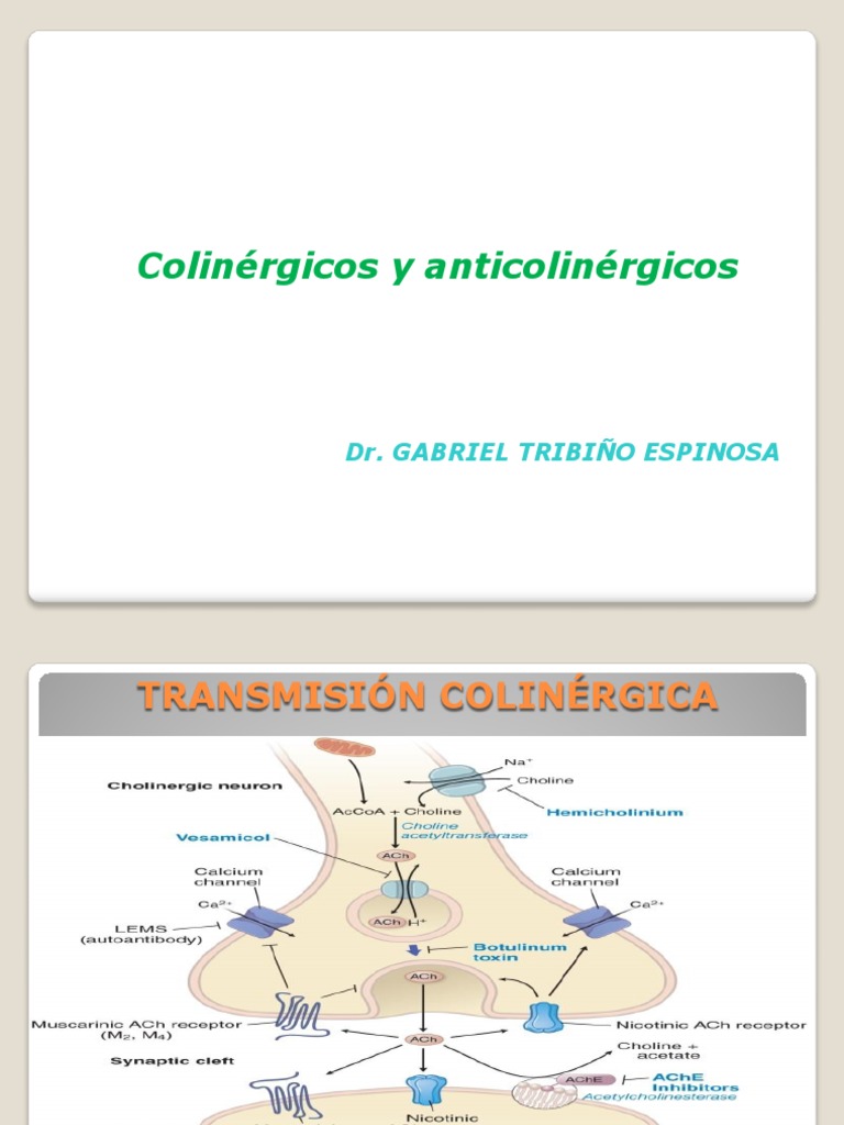 Colinérgicos y Anticolinérgicos | Drogas | Ciencias farmacéuticas