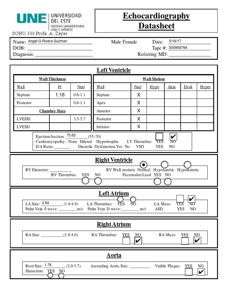 Sono 338 - Echocardiography-Worksheet 2017 | PDF | Heart Valve ...