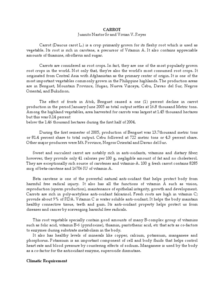 Carrot | PDF | Carrot | Botany