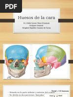 Anatomía de los Huesos Faciales | PDF | Sistema esquelético | Anatomía