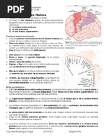 Lobulo de La Insula | PDF | Corteza Insular | Lóbulo temporal